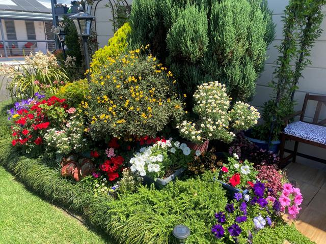 Spring Gardening Competition '24 Winners | Hometown Australia