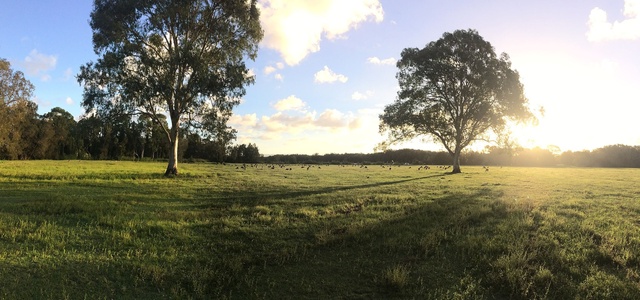 Hometown Australia Welcomes Suncrest to Gold Coast Portfolio | Hometown ...